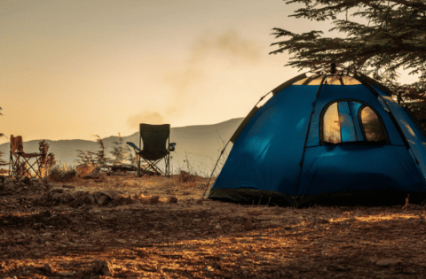 The Art of Campsite Selection: Factors for Perfect Tent Placement ...